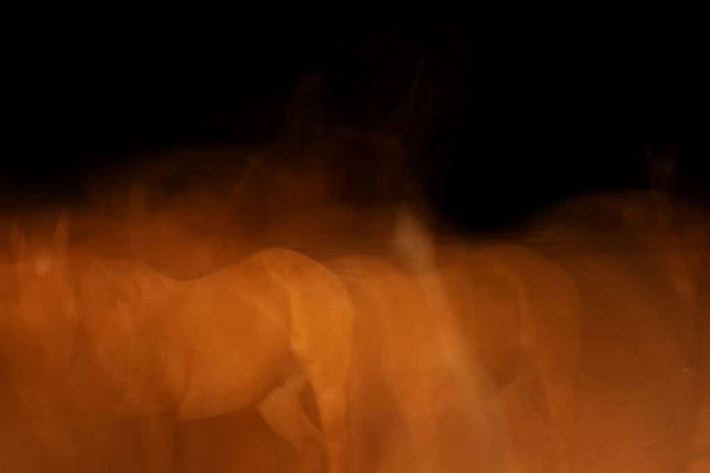 Kimberly Ovitz debuts photography exhibit ‘Mother’ at the Casterline ...